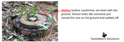 How to Identify, Locate and Avoid Landmines - Wartime Tactics