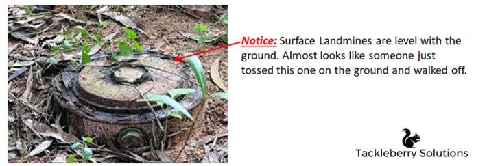 How to Identify, Locate and Avoid Landmines - Wartime Tactics