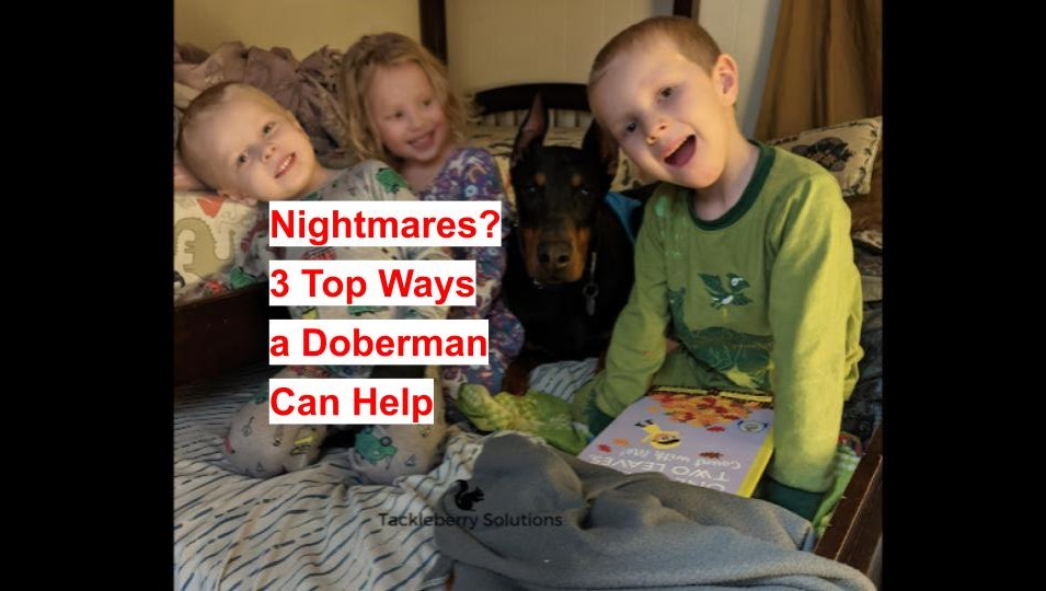 Nightmares? 3 Top Ways a Doberman Can Help